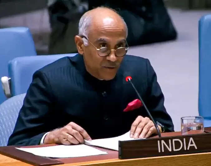 India tells UN Security Council it has suffered from cross-border ...
