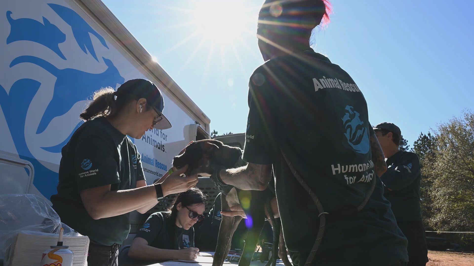 4 people accused of animal fighting after 47 dogs rescued in Lancaster ...