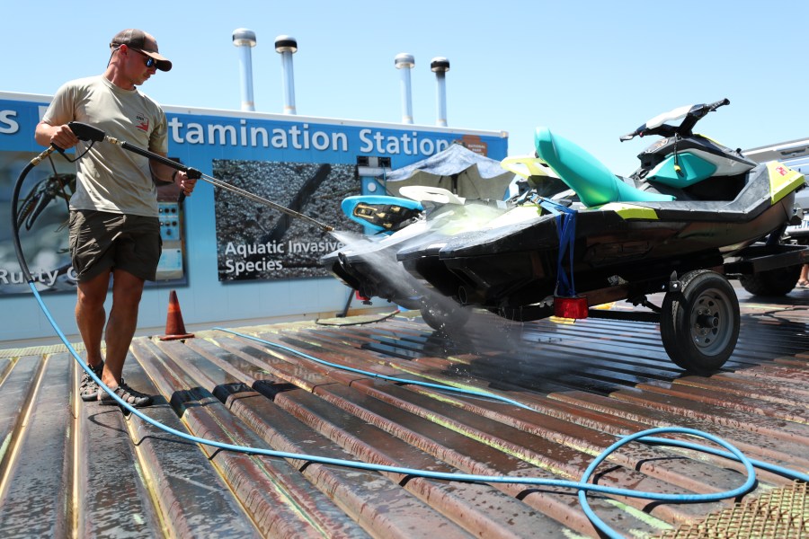 Utah inspects over 8,000 boats for invasive quagga mussels over ...