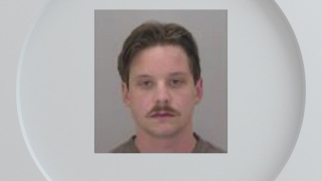 Colorado man who struck elderly couple, killing 1, given 4 years of ...