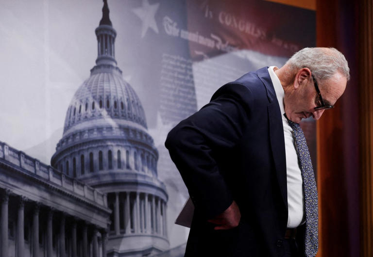 Lefty Dems go scorched earth over ending government shutdown — take aim ...