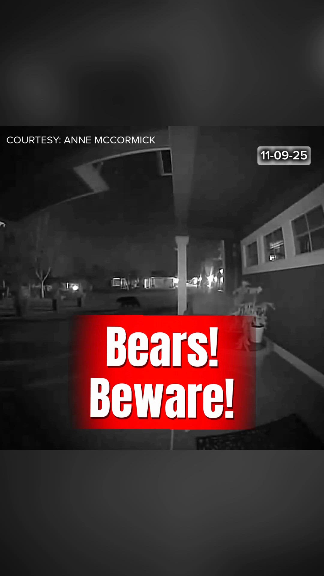 Beware of Bears!