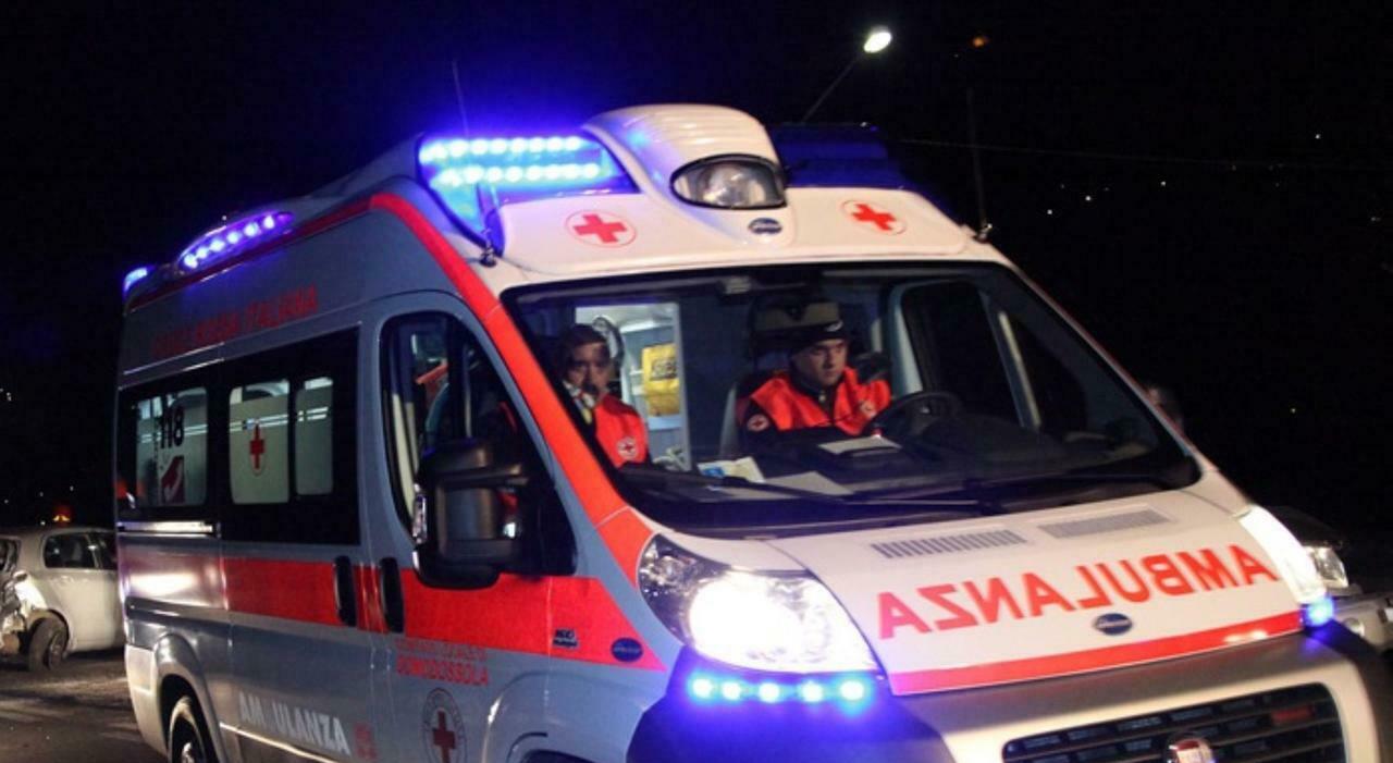 Fermo, cinghiale gli attraversa la strada: si ribalta e finisce nella ...