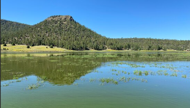 Quemado Lake closed because of toxic algae blooms