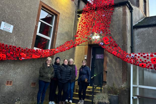 Community group creates poppy display at village school for Remembrance Day