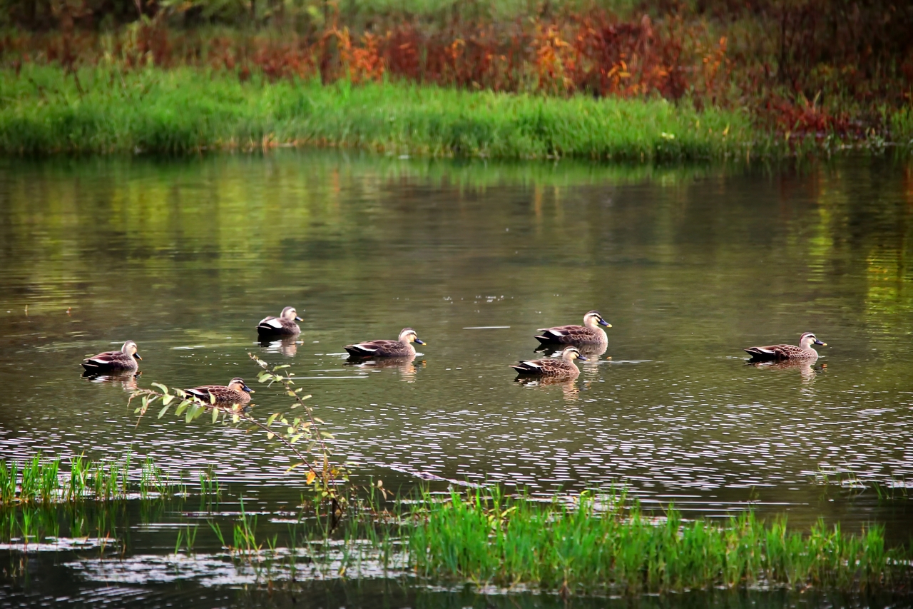 Andrew Mountbatten-Windsor pictured for first time since King Charles removed his titles