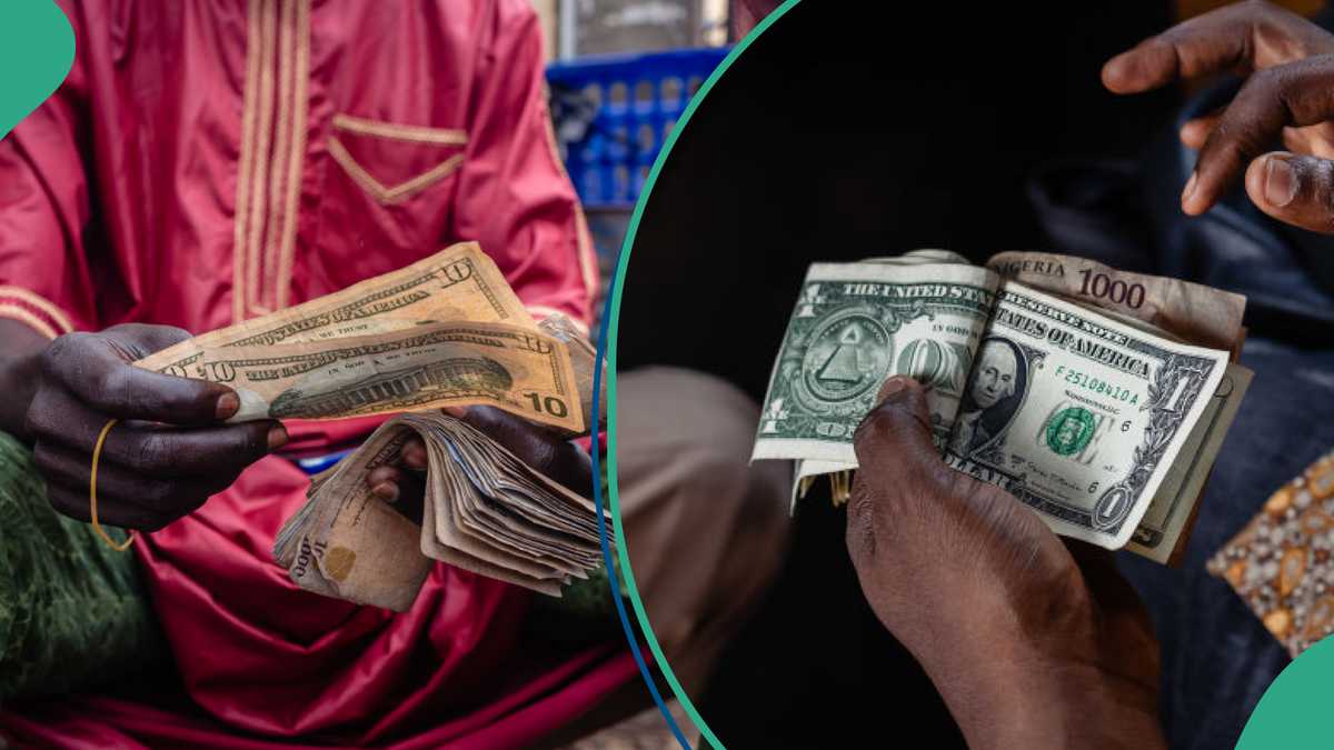 Find out more as Naira rebounds, appreciates against US dollar