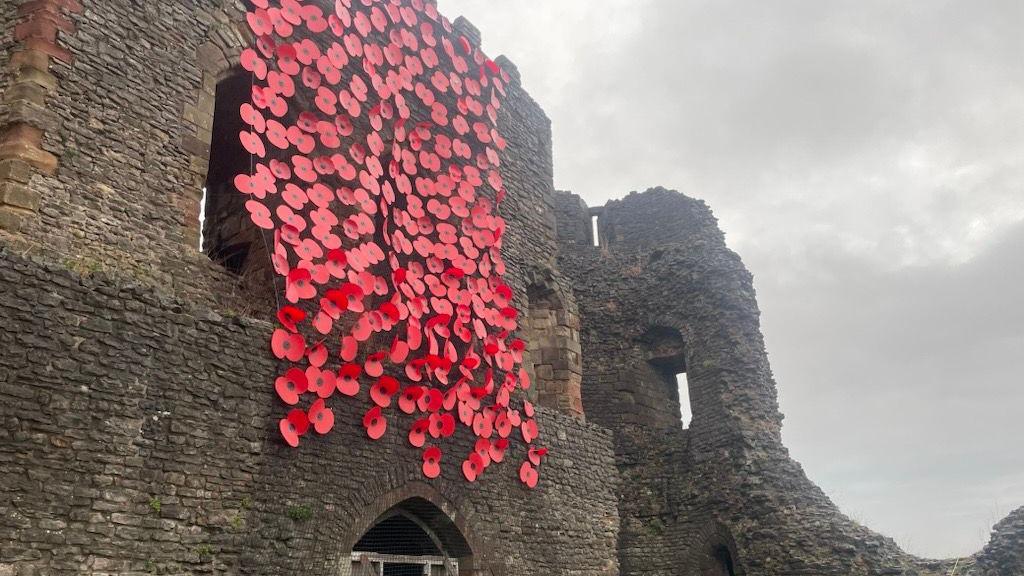 In pictures: Stunning displays of Remembrance poppies across region