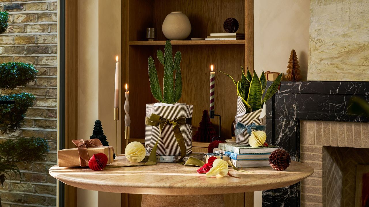Do Houseplants Feel the Cold? The Ideal Temperature for Your Home so ...
