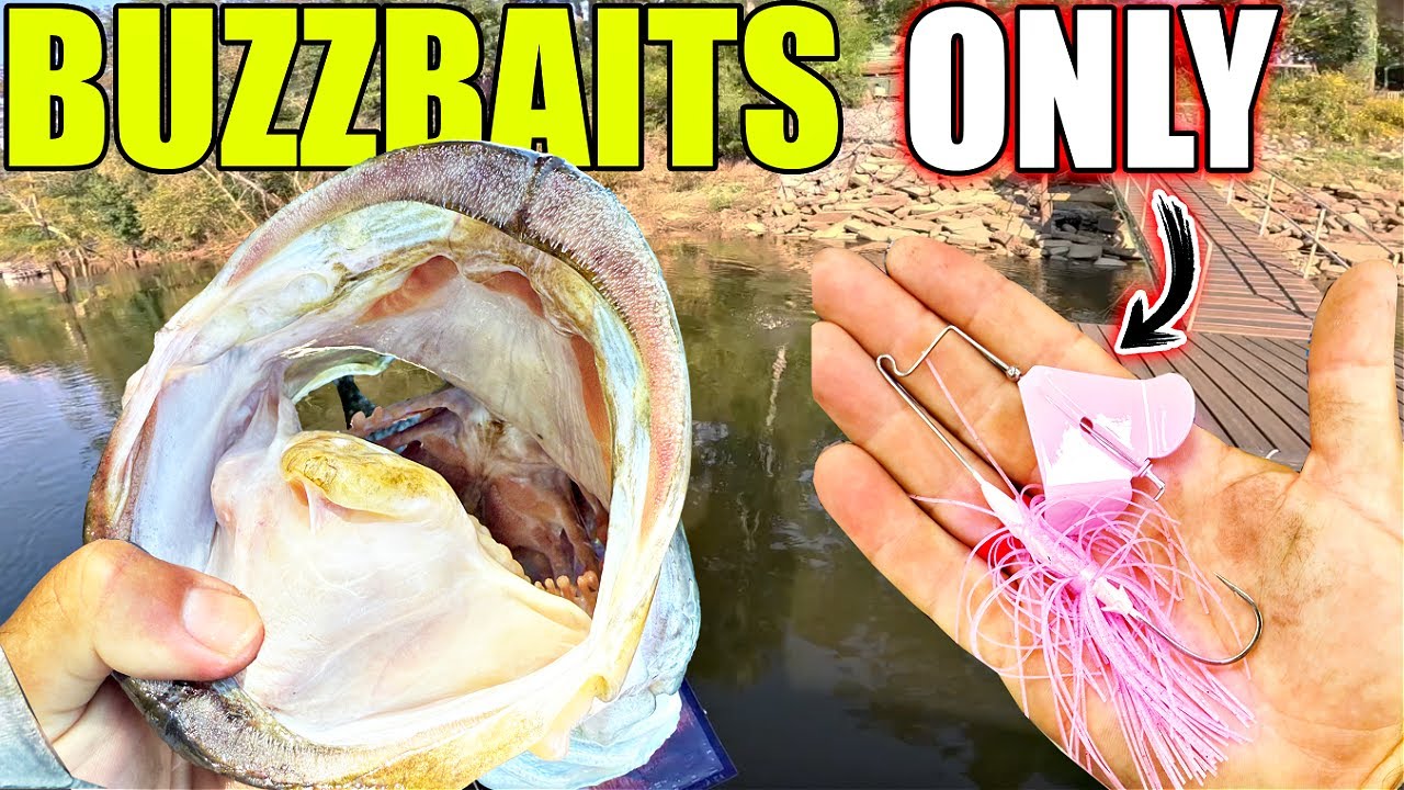 Buzzbait challenge catching fish using only buzzbaits