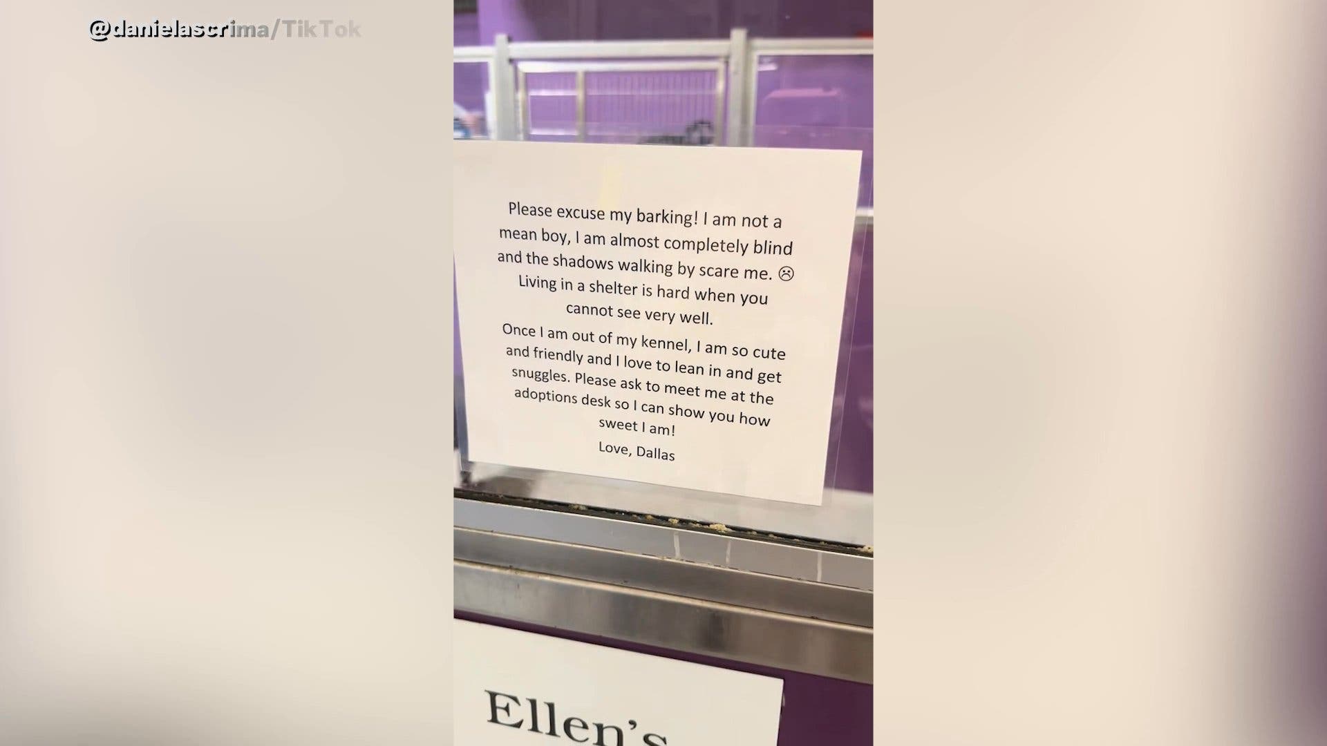 Woman Visits Shelter, Hearts Break Over Note on Dog’s Door