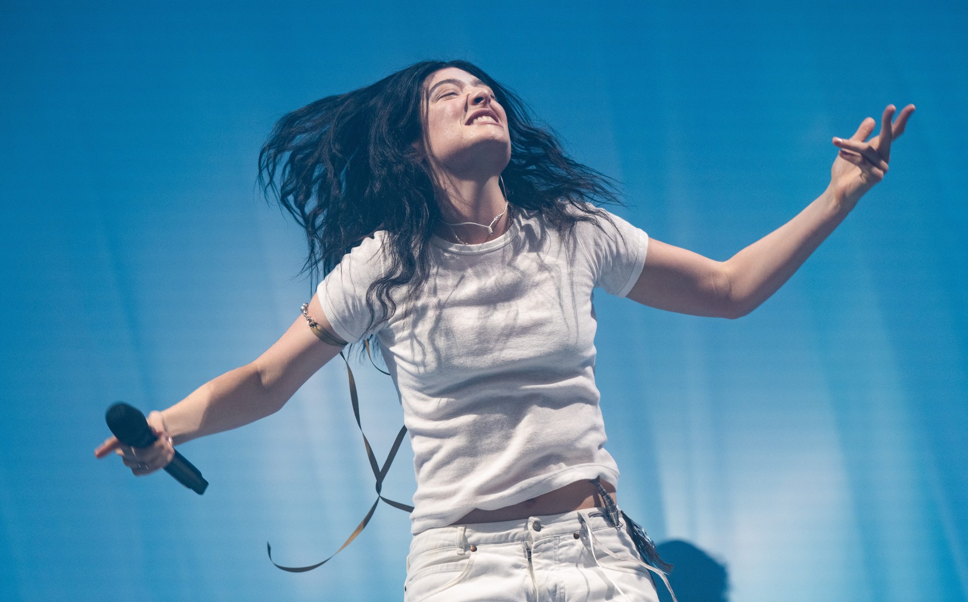Lorde pulls out of gig as she's 'unable to stand'