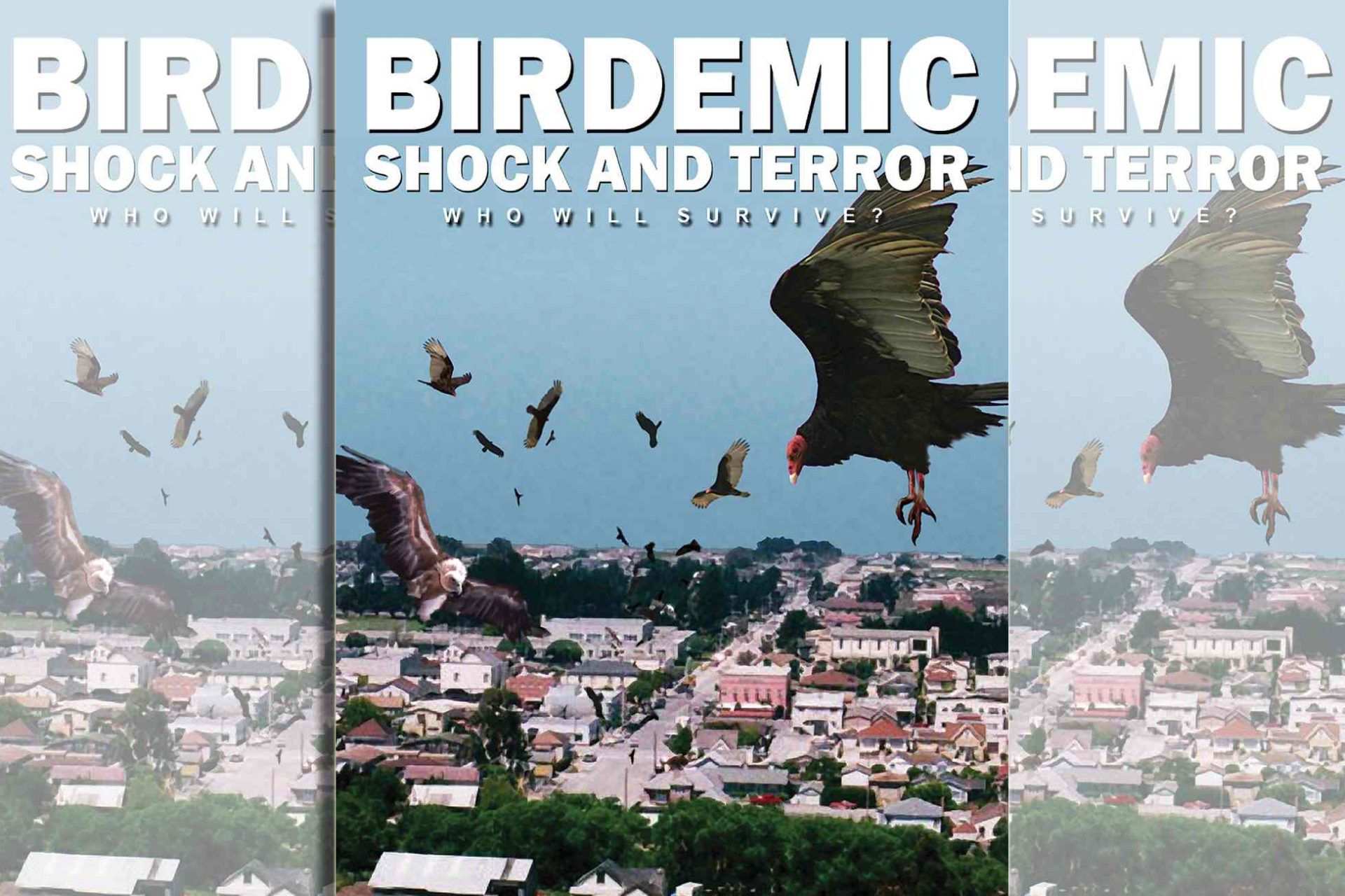 Le cinéma au sommet de l’absurde