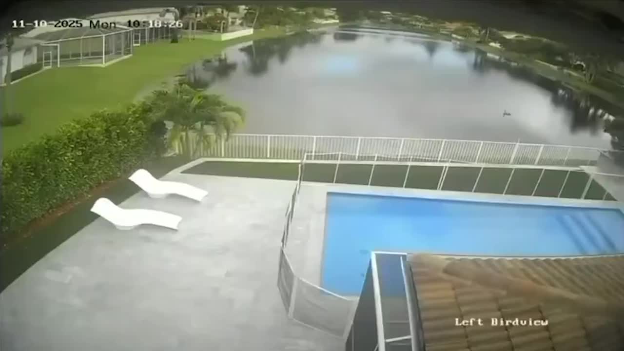 Private jet crashes into pond killing two onboard in Florida