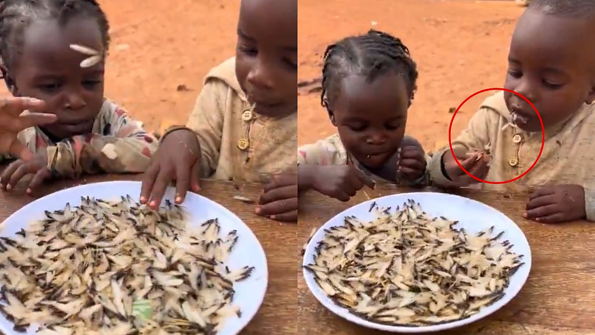 Viral Video Shows Starving Children From Uganda Eating Live Termites ...