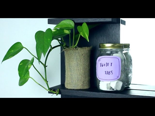 DIY natural toilet cleaning tabs