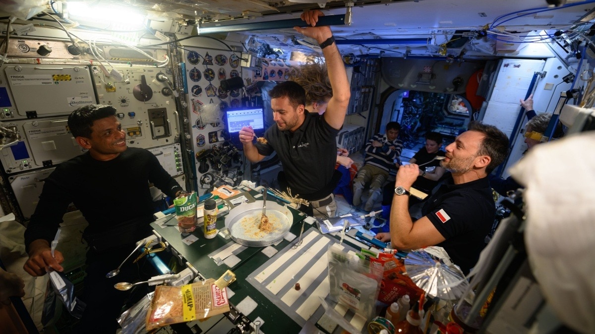 Mealworm, bugs, crickets: Could astronauts soon be eating insects in space?
