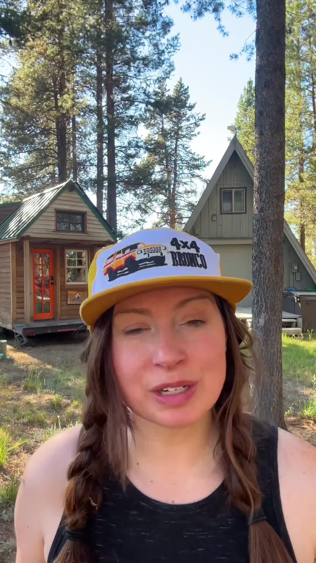 Cost comparison of buying our A-frame cabin tiny homestead vs creating ...