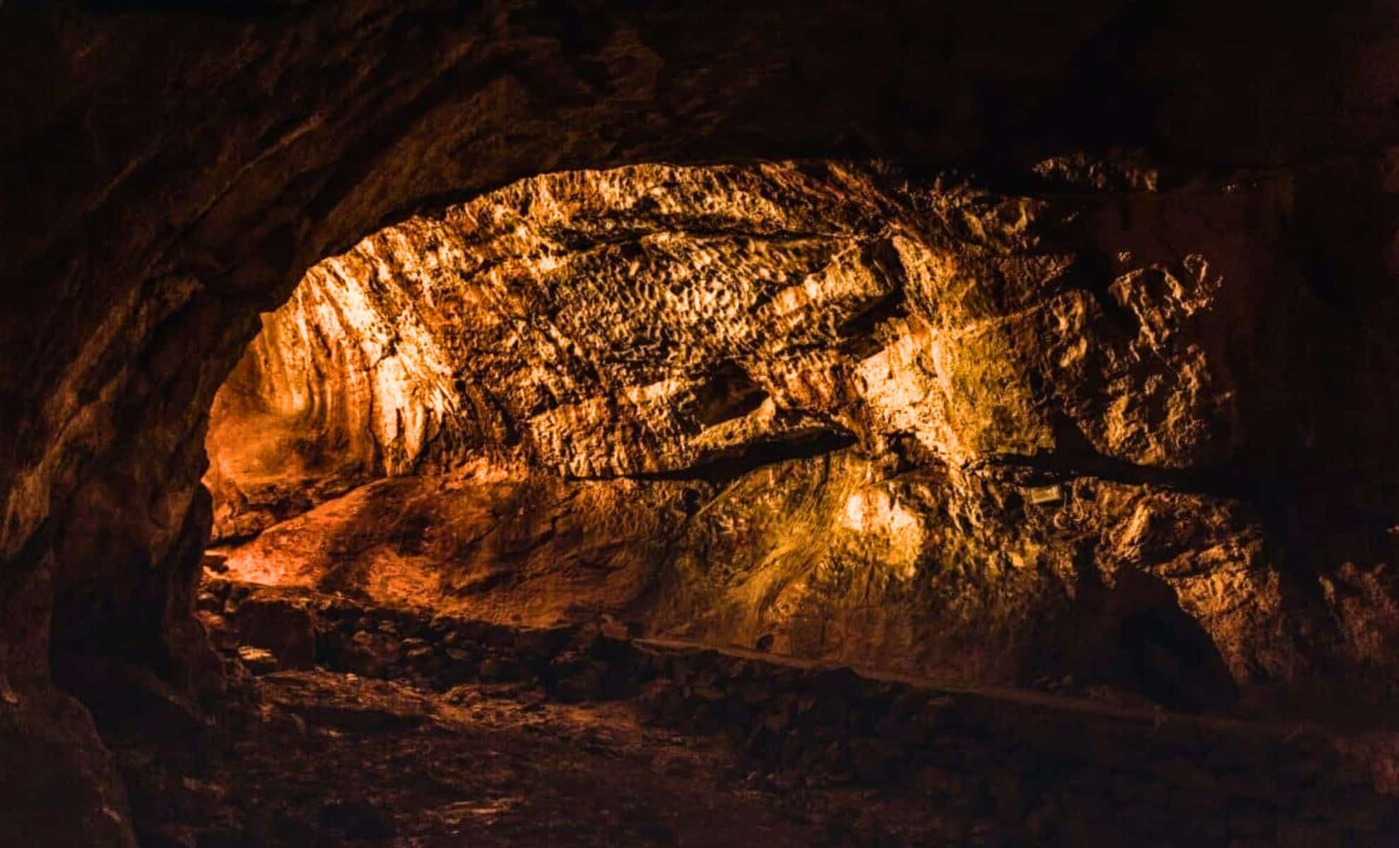 Scientists Opened a Cave Sealed for 57,000 Years: What They Found Wasn ...