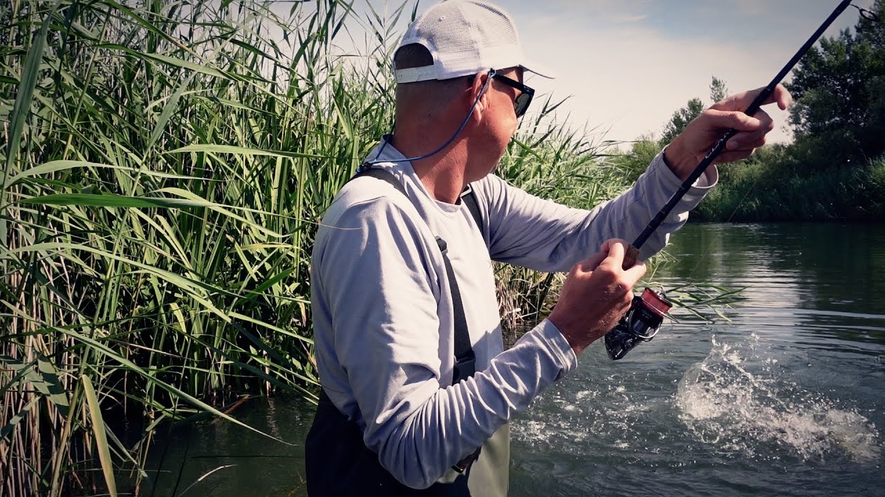 Dieser KLEINE FLUSS ist VOLL mit DICKEN FISCHEN!!