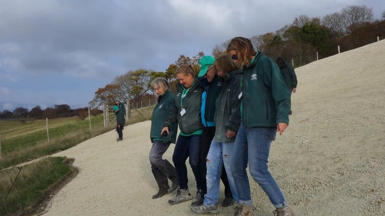 RAW VIDEO: Whipsnade Zoo's white lion gets its chalk skin stomped 2/2