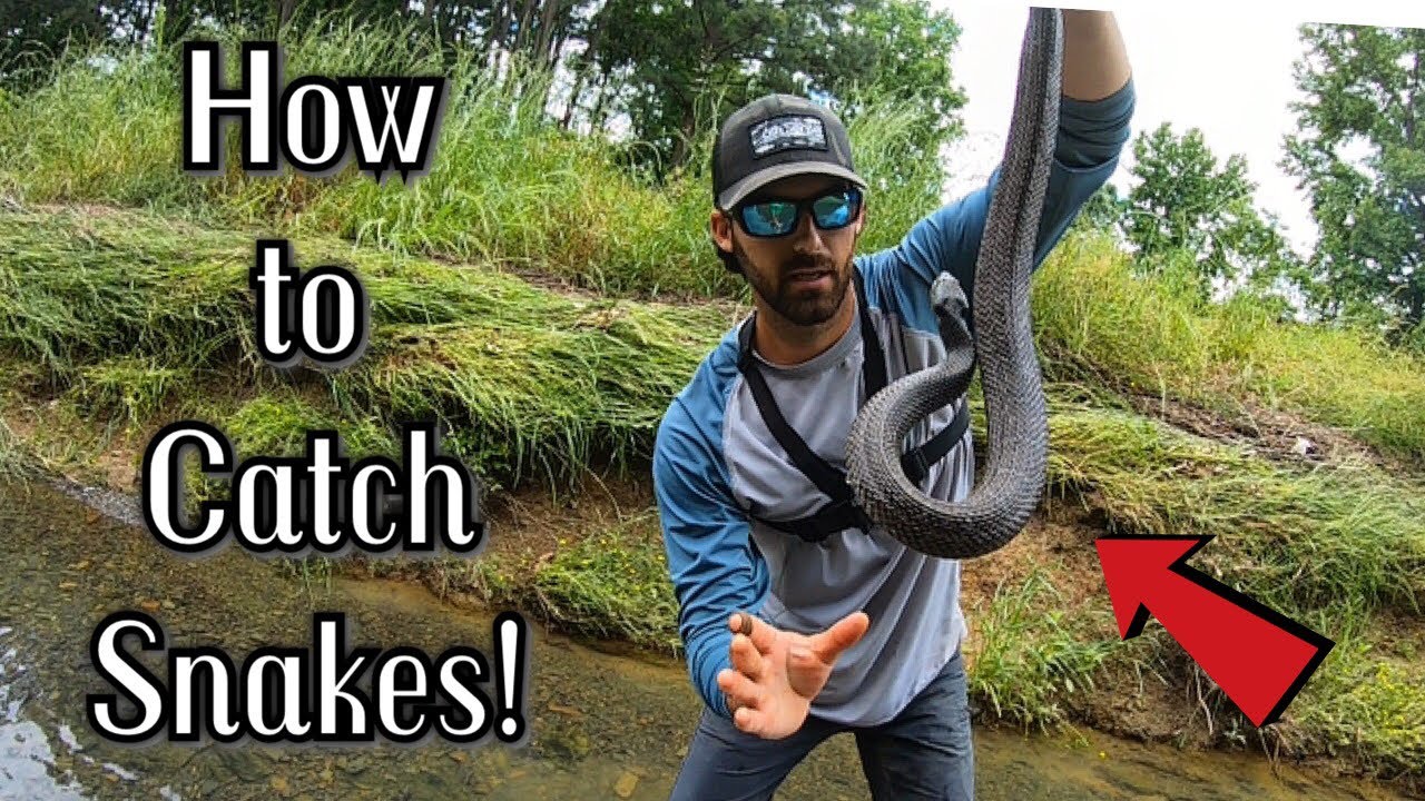 How to catch a snake safely while fishing