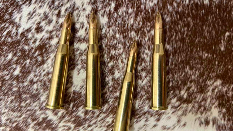 Calibers that only collectors claim to admire