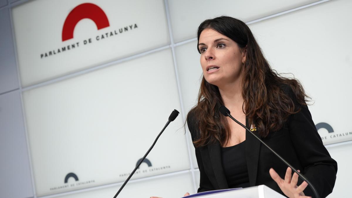 Junts ve una “tomadura de pelo” que ERC posponga el debate de su ley del IRPF