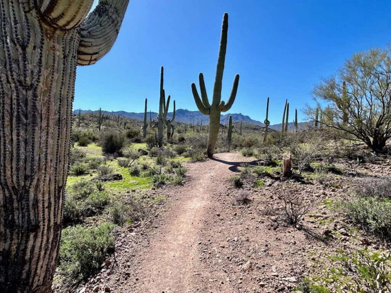 6 Best Winter Mountain Biking Destinations For Year-Round Riding