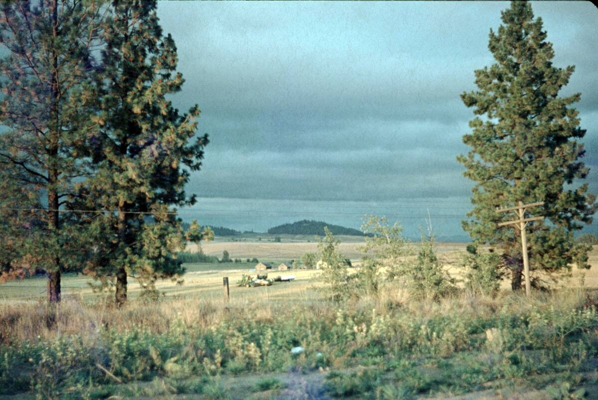 What life looked like in 1940s rural America