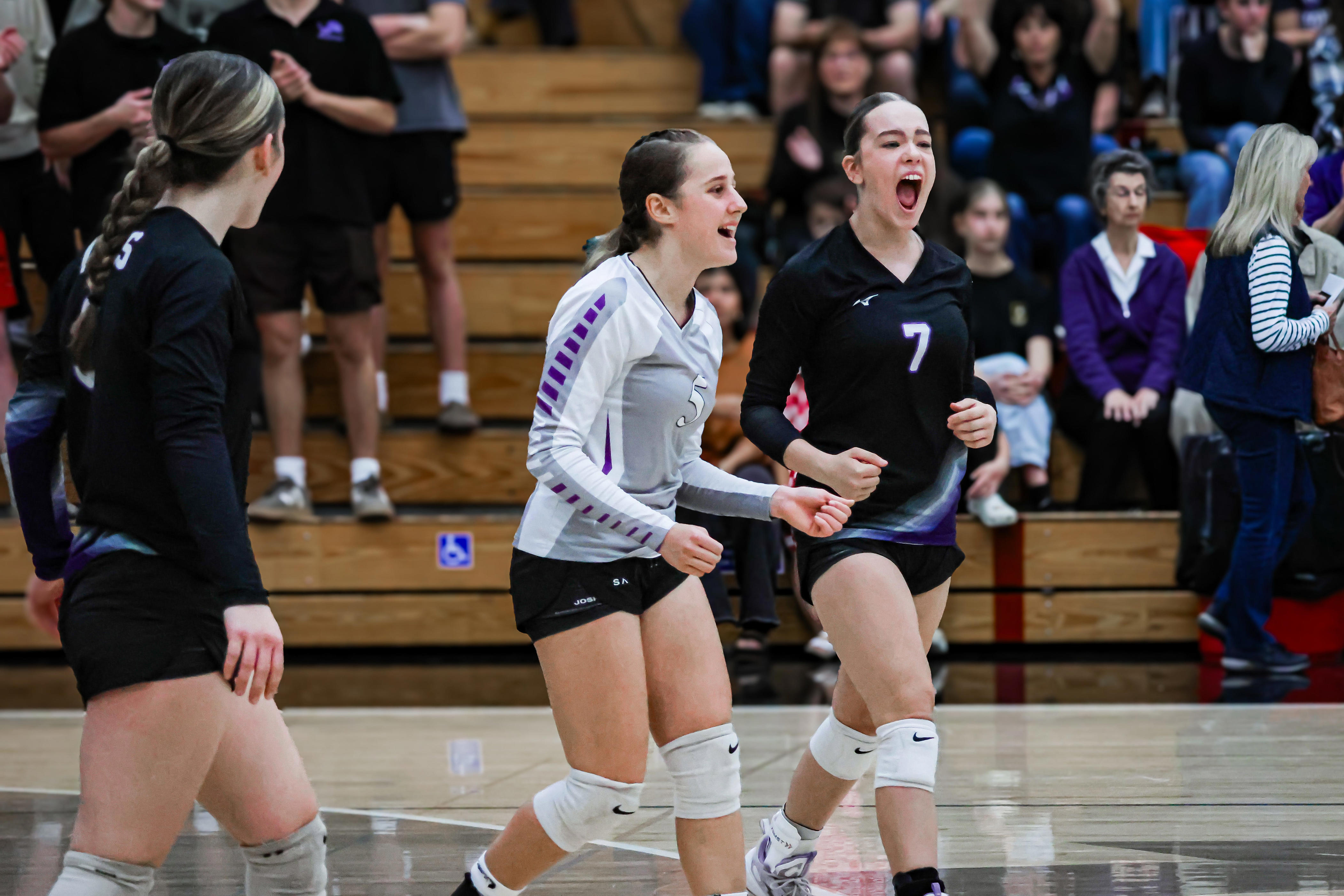 Find out which Redding-area girls volleyball teams made the CIF state ...