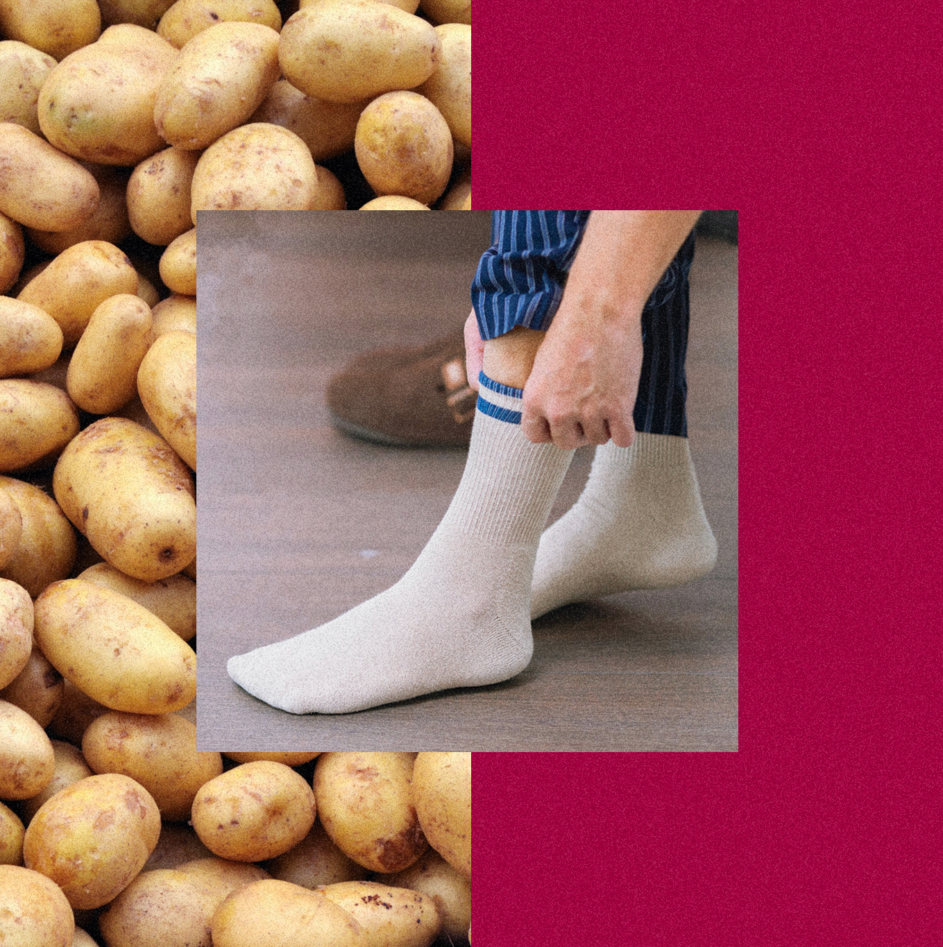 No, putting a potato in your sock will not cure a cold