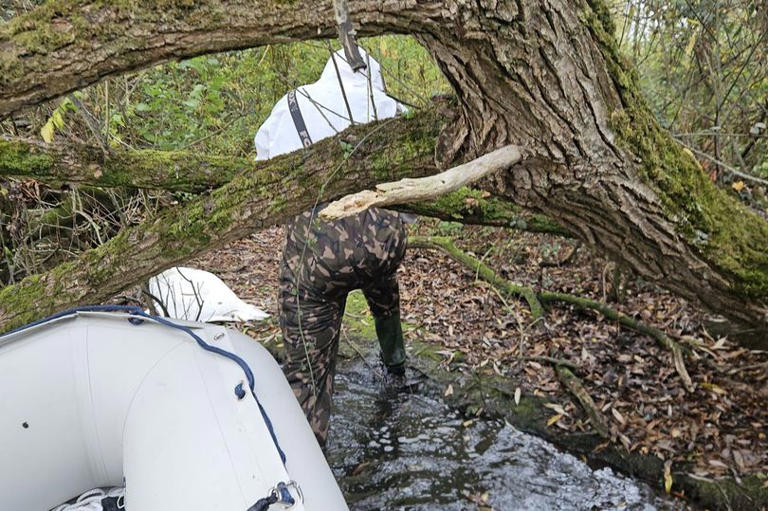 'Unique' bird flu symptom following major outbreak at beauty spot