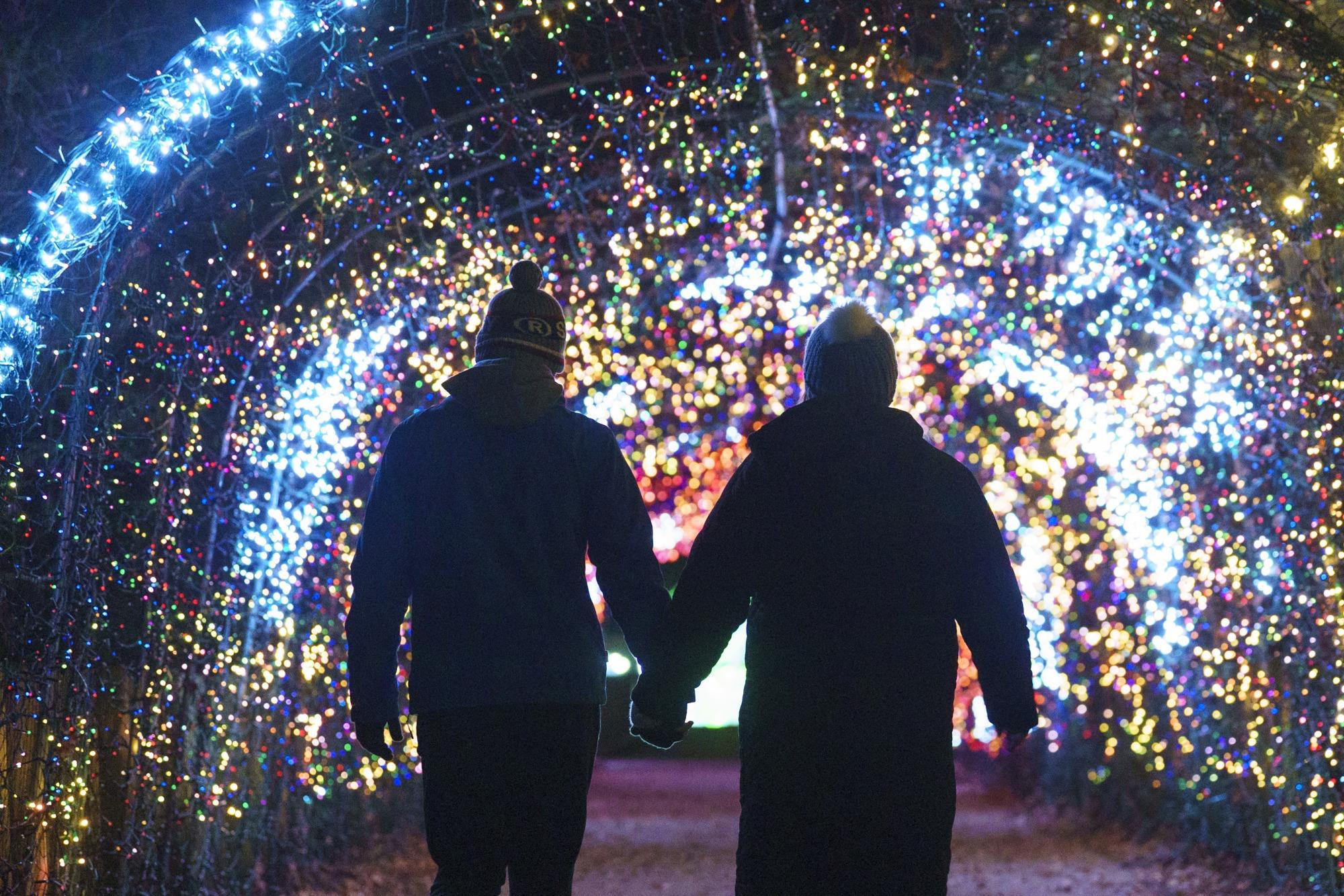 Yorkshire Wildlife Park winter illuminations set to return to Doncaster
