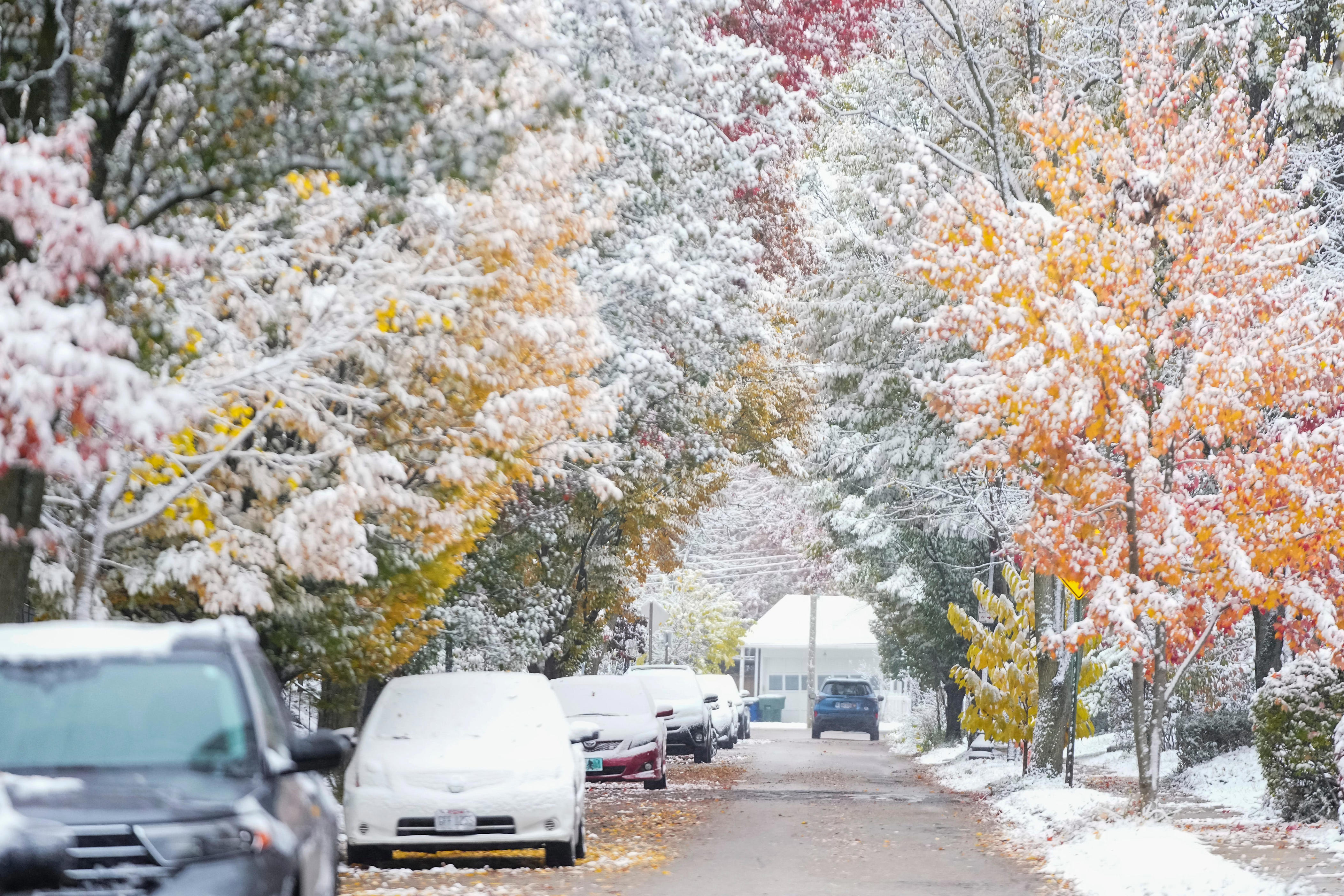 Will it snow again in Alabama in 2025? Here's what the Old Farmer's ...