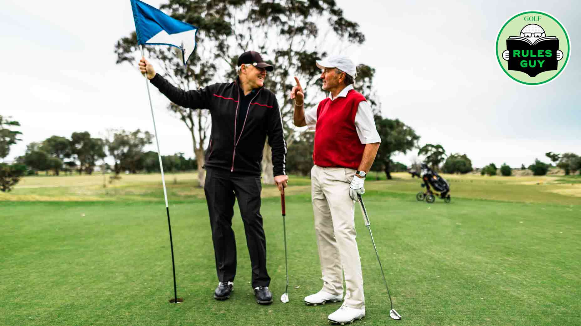 Rules Guy: A long bomber's ball hit the flagstick we'd removed from the ...