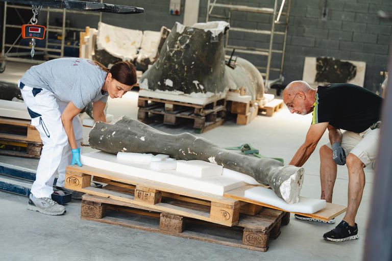 Il Cavallo colossale di Canova torna a splendere: rinascita di un ...