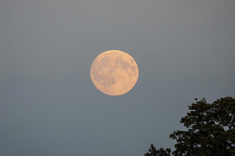 Full-frame vs Micro Four Thirds – Which format is best for you?