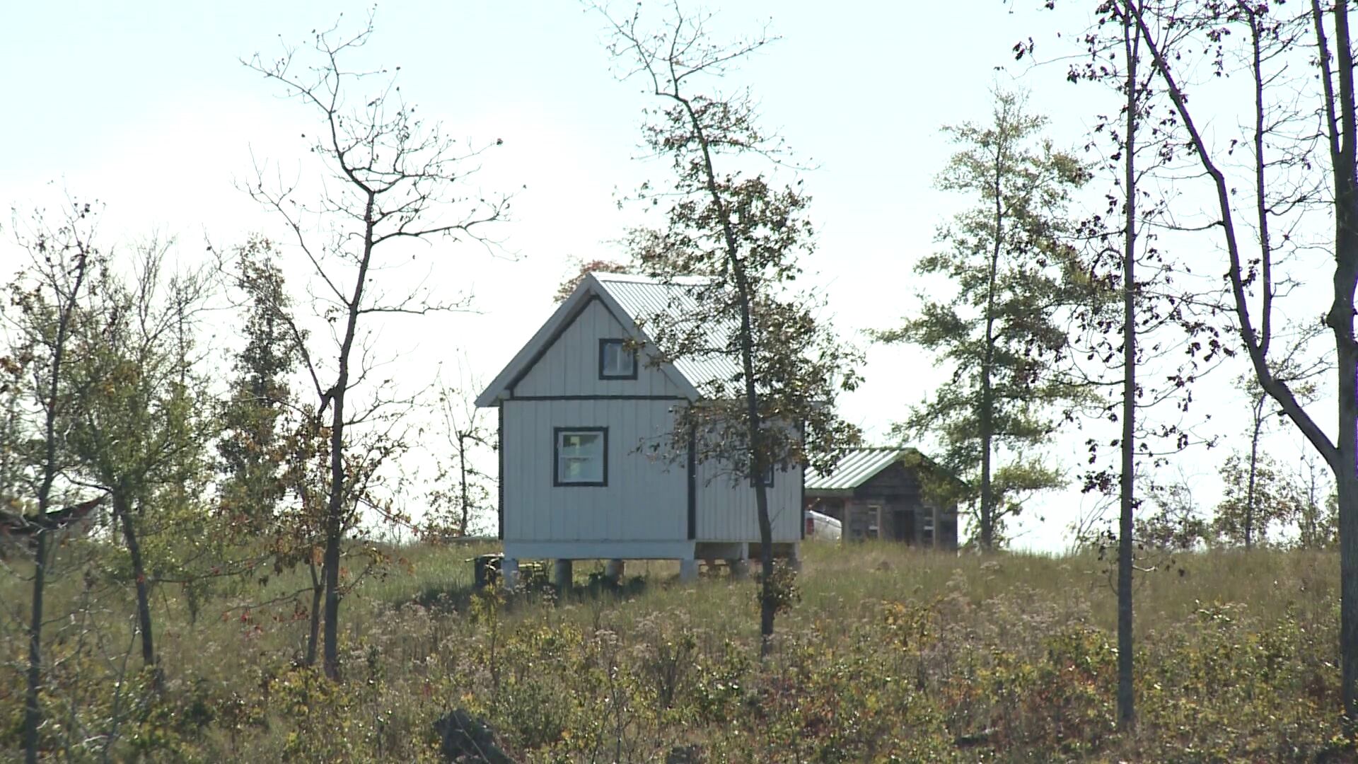 Nov. 11: What you need to know