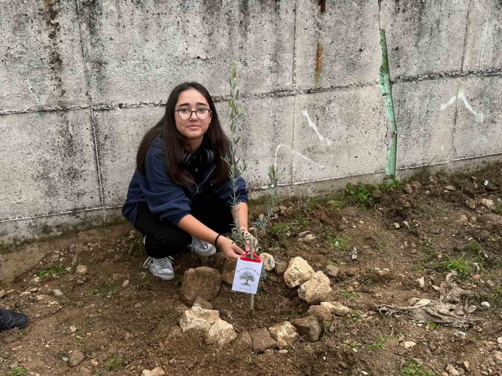 Okul bahçesine 60 zeytin fidanı dikildi