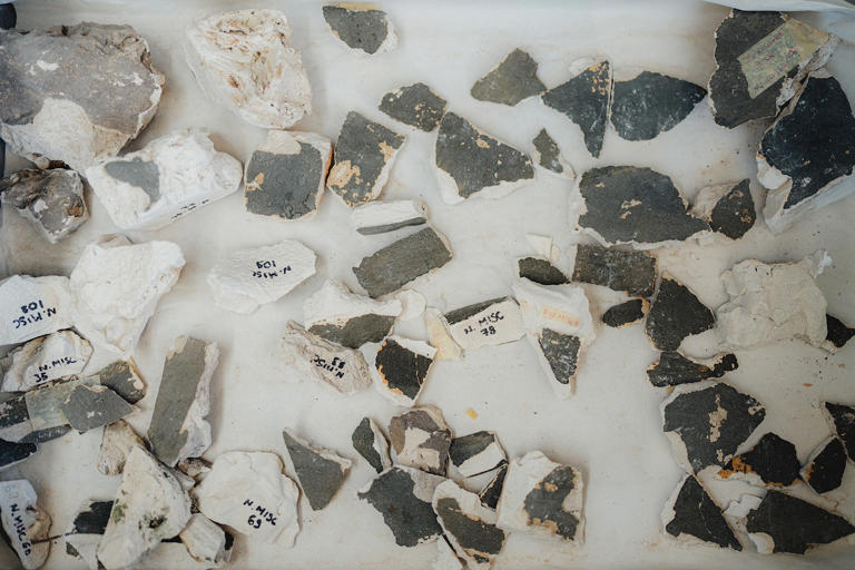 Il Cavallo colossale di Canova torna a splendere: rinascita di un ...