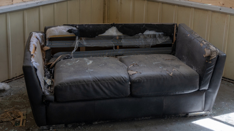 This Common Habit Is Destroying Your Couch