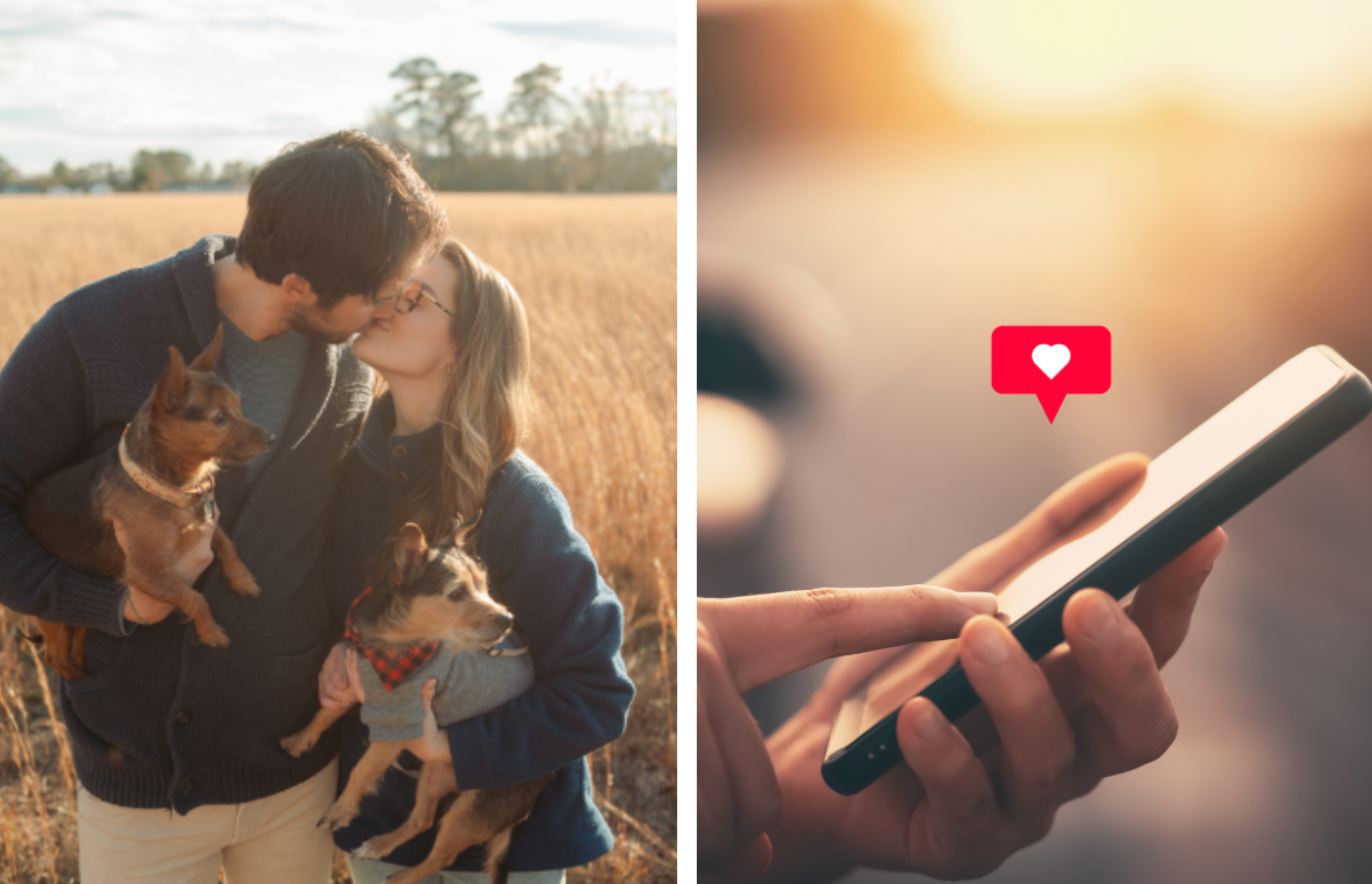 This new dating app uses dogs to help people find their true love