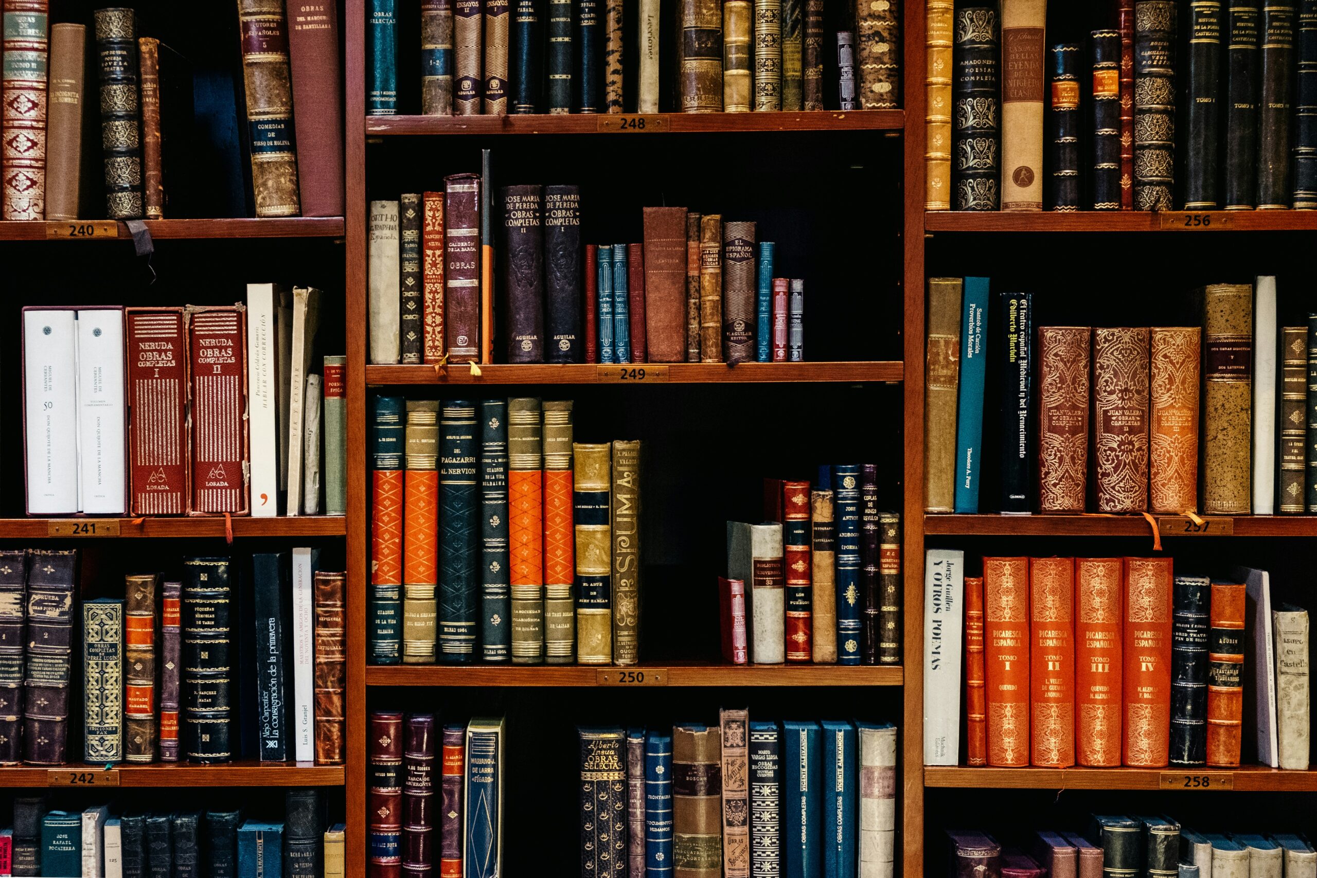 Lost Libraries and the Knowledge They Held