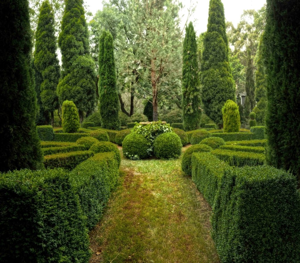 Small Yard Landscaping Ideas That Add Privacy