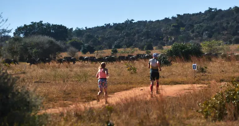Quando corsa e turismo uniscono le forze: le maratone più belle del pianeta