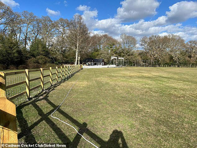 Cricket club at war with livestock association over law saying ponies ...