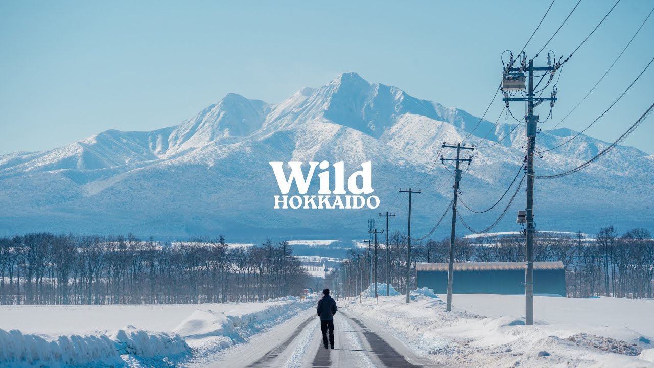 Hokkaido’s Wild Winter Landscapes – Cinematic Travel