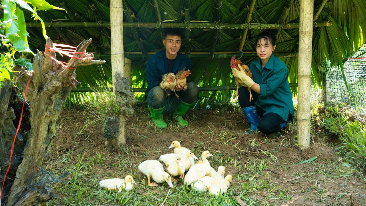 Kehidupan sehari-hari di peternakan keluarga