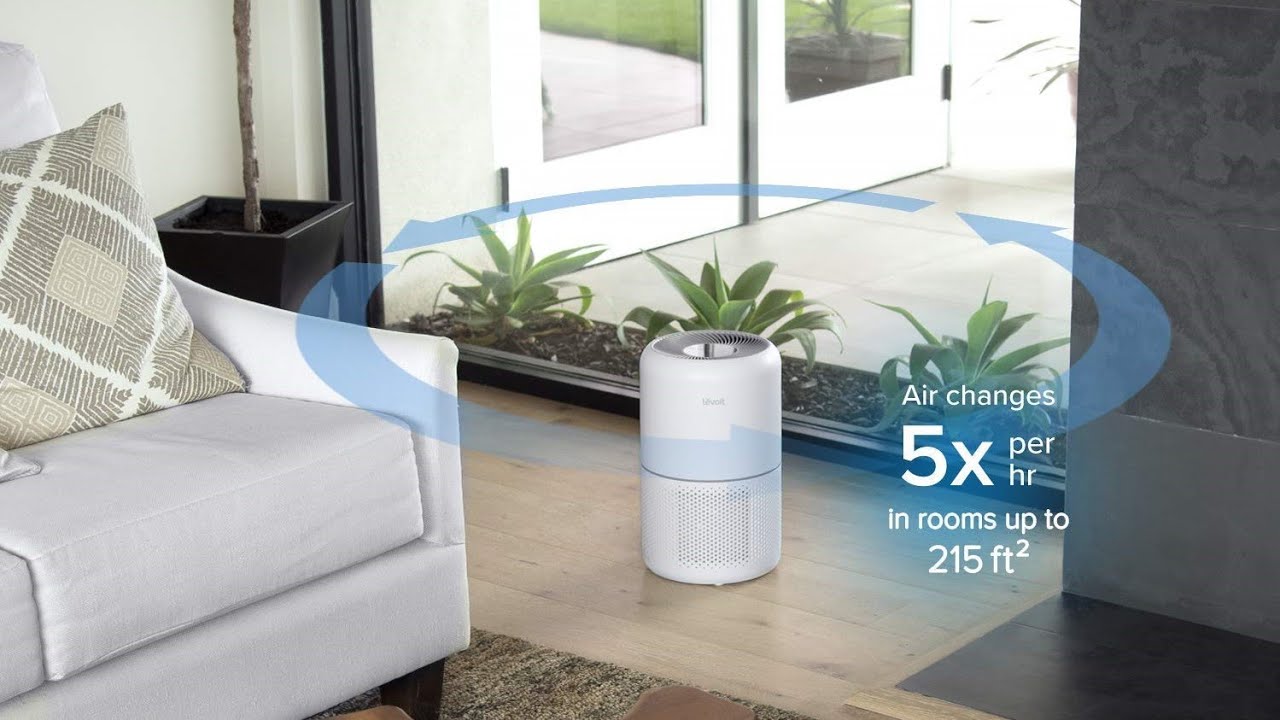 Reclaim your health with the best air purifiers for mold